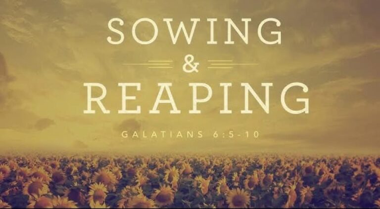 New Life Alliance Church » Sowing and Reaping